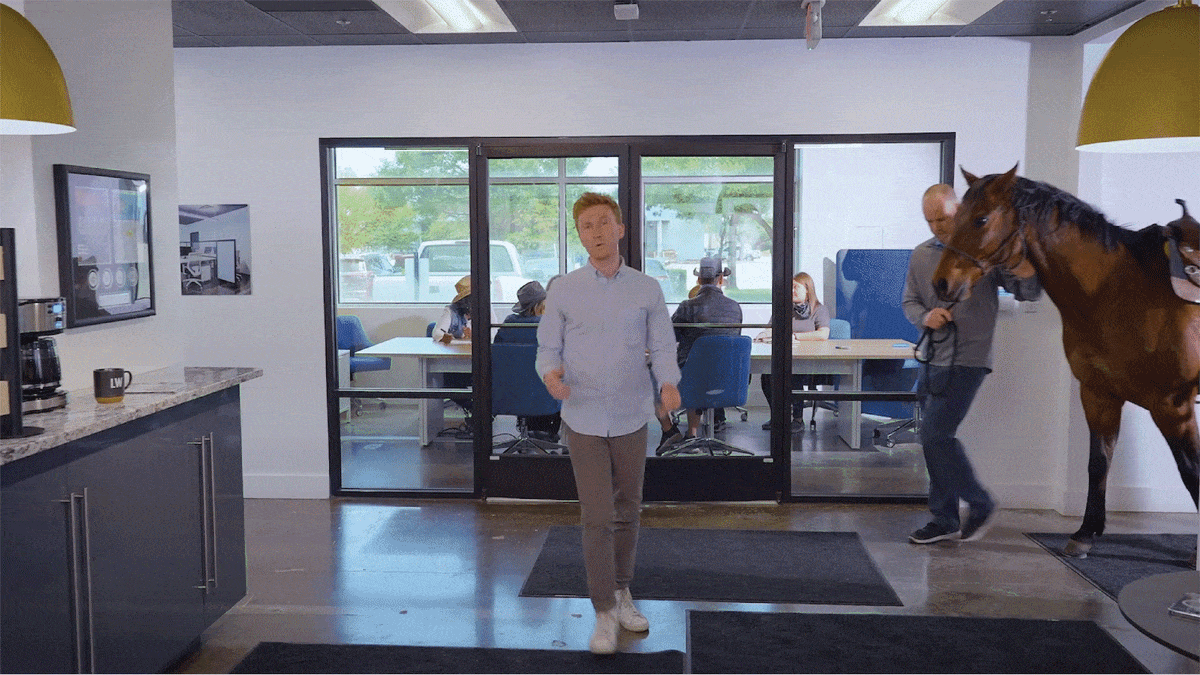 Mad Scientists and Live Animals | Loftwall